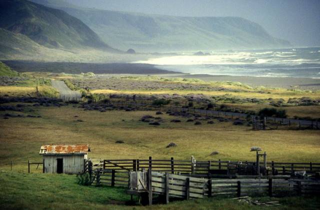 “A Gift of Love” Gala to Benefit Suzanne’s House - Haute Living