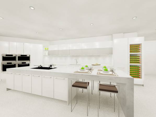 Chef Eric Ripert To Design Penthouse Kitchens In Bellini Williams ...