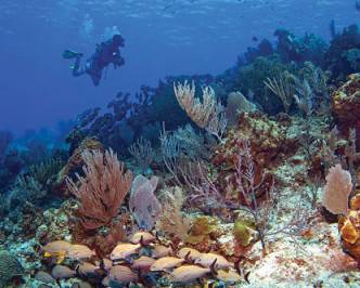 Warm Weather Weekend Getaways Sure To Cure the Winter Blues