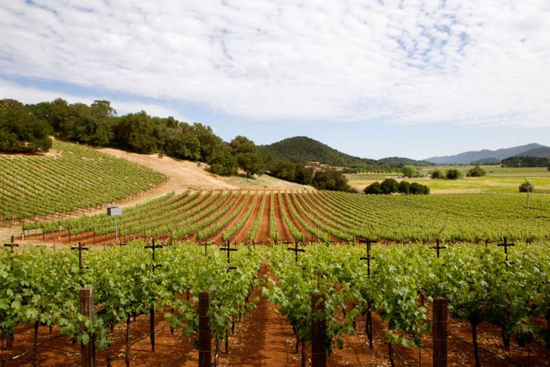 BORN TO GROW: Jeff Gargiulo - Haute Living