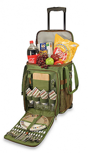 Everything You Need to Enjoy a Picnic in the Park