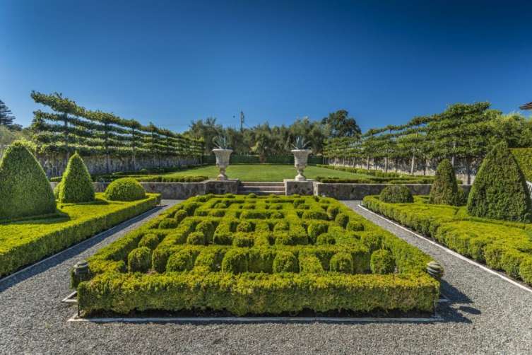 Historic Vineyard Estate Is Pure Luxury