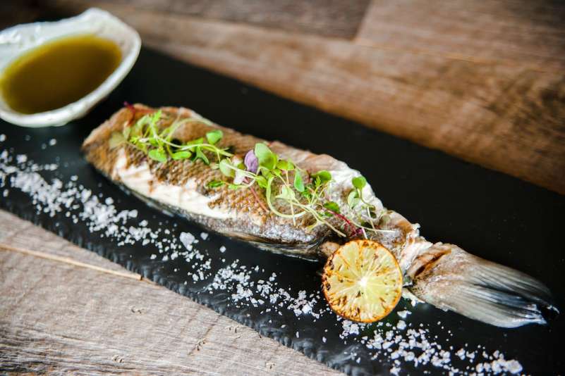 Tanuki is Miami Beach's Newest Japanese Hotspot