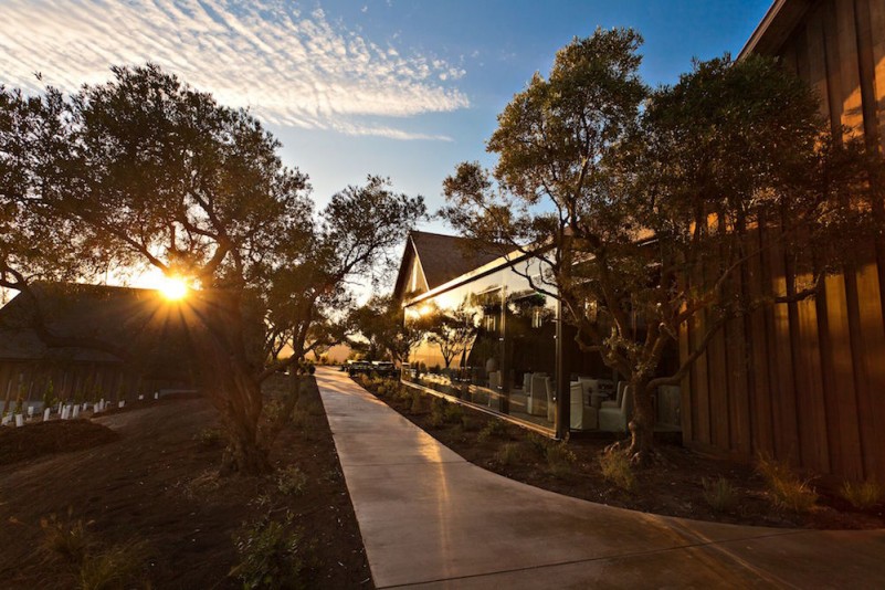 Ram’s Gate Winery Offers Unique Experiences In Luxe Setting