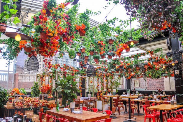 Eataly's Rooftop Transforms Into Serra D’AUTUNNO For Fall 2018