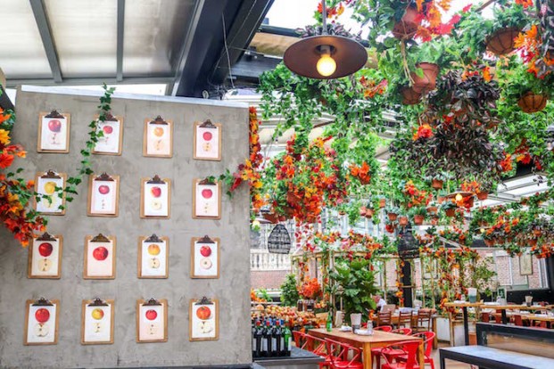 Eataly's Rooftop Transforms Into Serra D’AUTUNNO For Fall 2018
