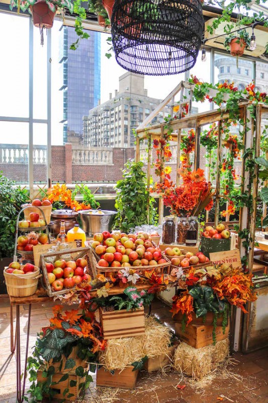 Eataly's Rooftop Transforms Into Serra D’AUTUNNO For Fall 2018