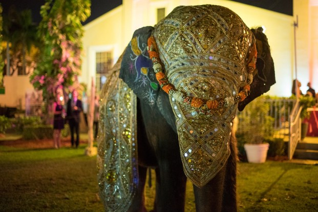 The 22nd Annual Best Buddies Miami Gala Presents Le Cirque De La Nuit