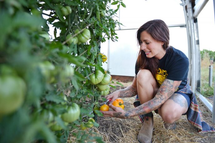 Wine Country Inns With Exceptional Dining - SF Nov/Dec