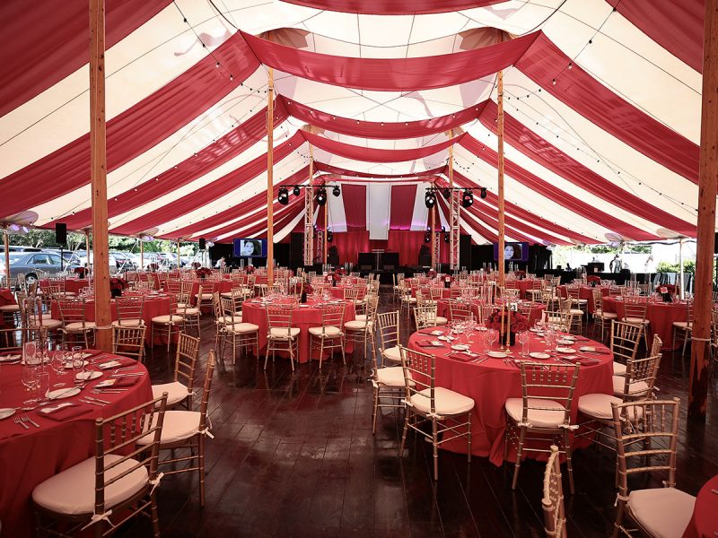 The Annual Angel Ball Summer Gala Raises Over $2.3 Million