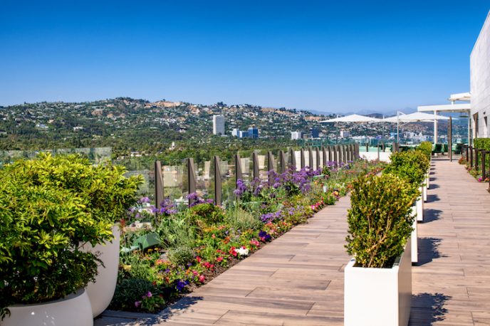 Celebrate National Margarita Day At The Rooftop By JG