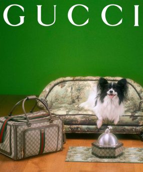 Introducing The Gucci Pet Collection For The Most Glamorous Pets