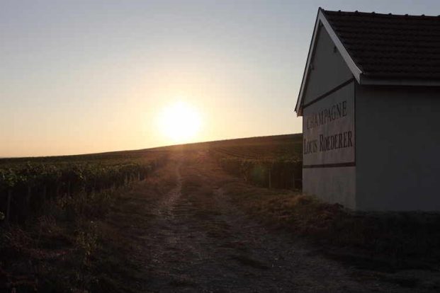 CEO Corner: Louis Roederer's Frédéric Rouzaud