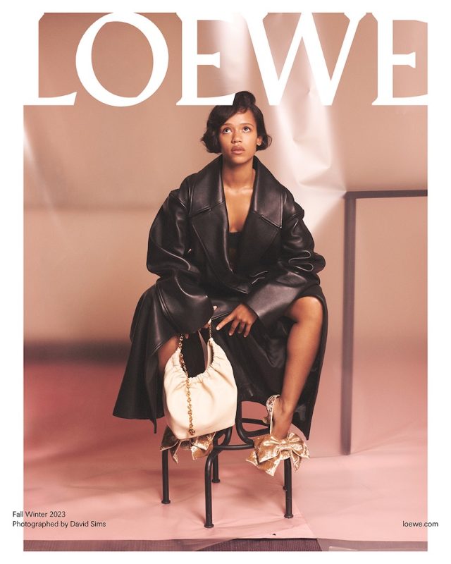 Introducing The Incredibly Chic Loewe Squeeze Bag