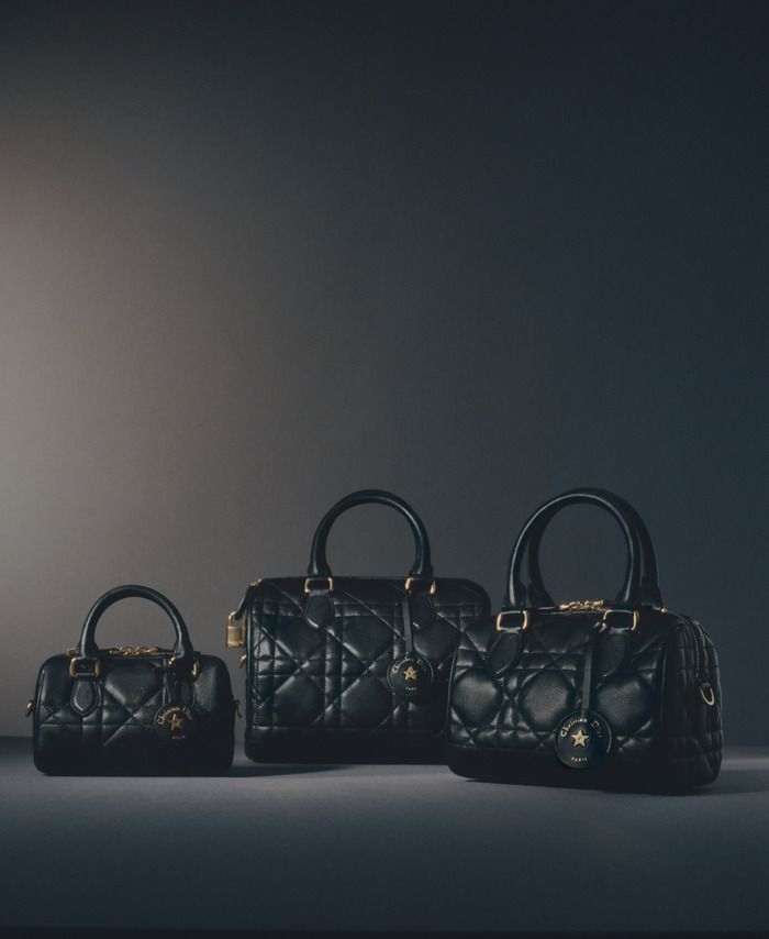 Dior Has A New Icon: Introducing The Groove Bag