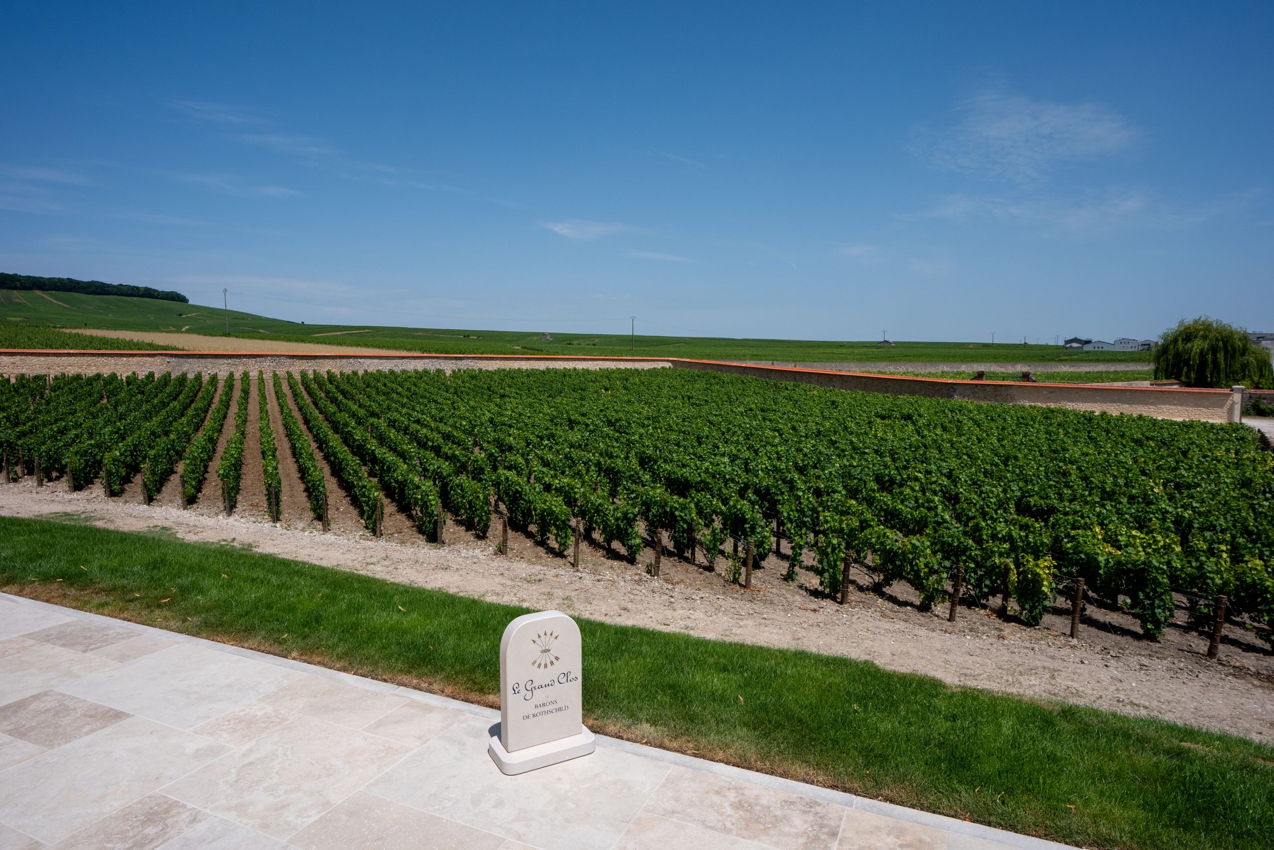 Le Grand Clos 2019: Rothschild’s First Single-Plot Champagne