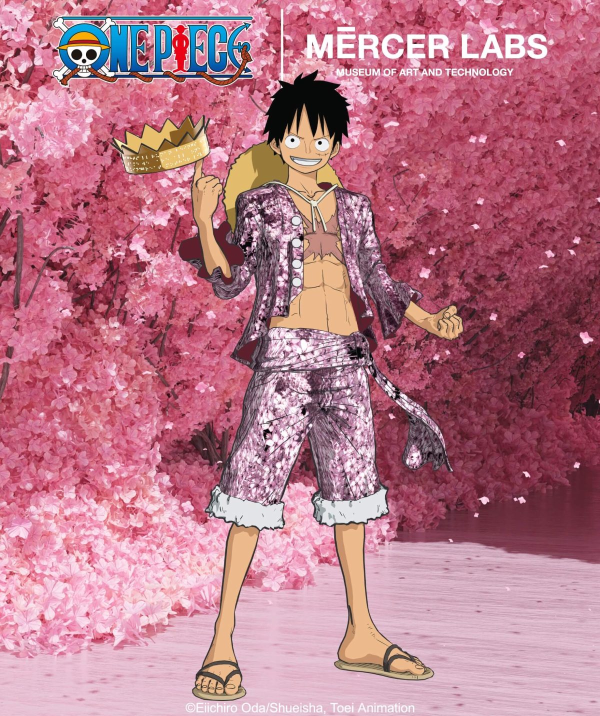 ONE PIECE x Mercer Labs: How Nasir Dean Brought Anime, Art, and ...